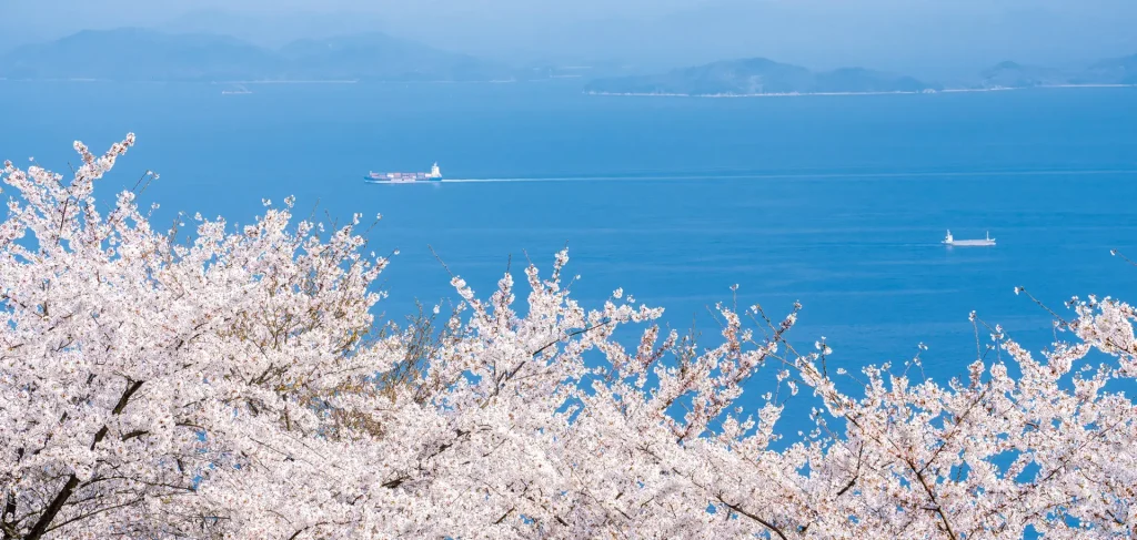 Sunset Shuttle Taxi for Sakura Season - 瀬戸内観光レモン